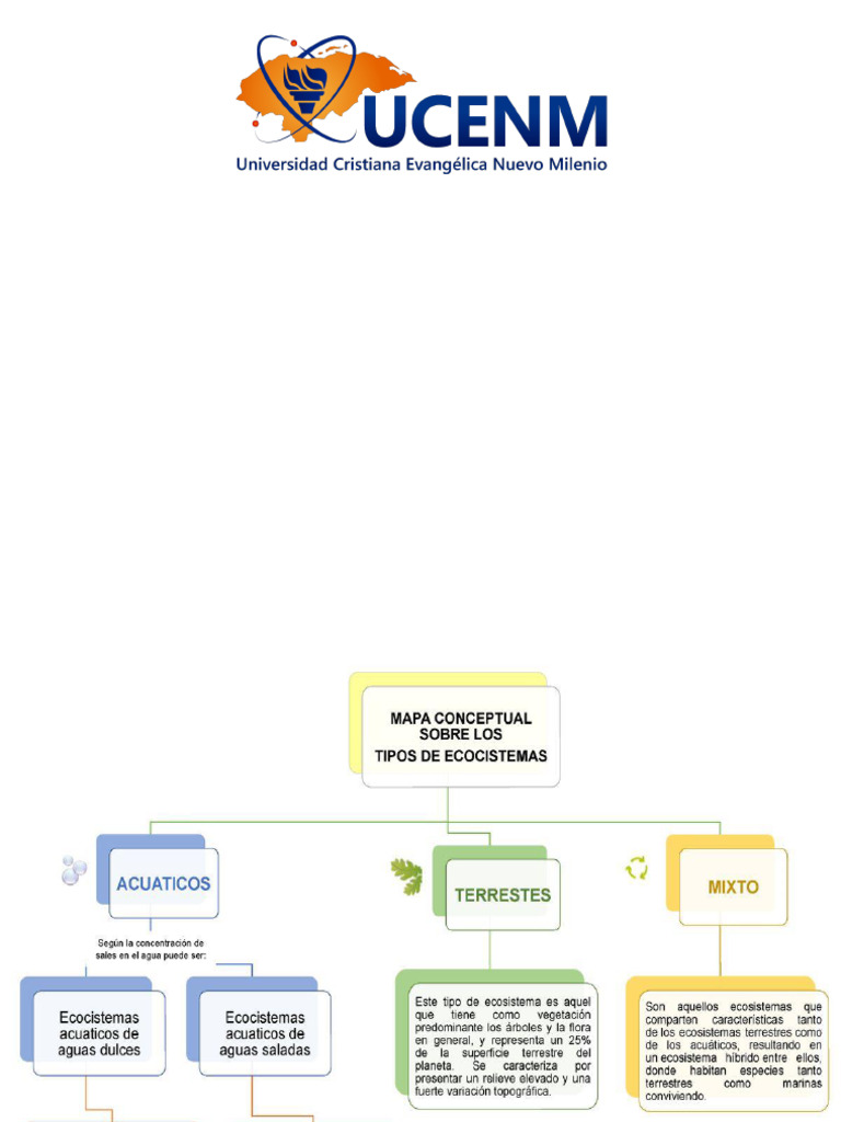 Mapa Conceptual Tipos de Ecosistema - Educacion Ambiental - Dayany Murillo | PDF