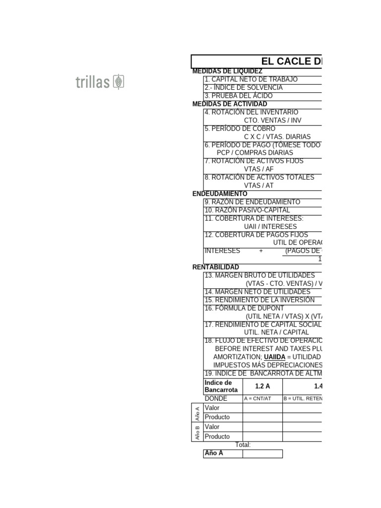 El Cacle del Anahuac_Formato | PDF | Economía Financiera | Inversiones