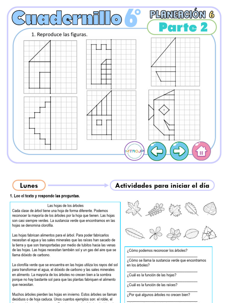 Cuad Parte 3 | PDF | Infección | Hoja
