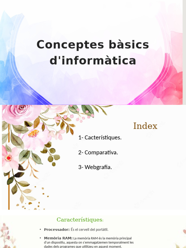 Conceptes Bàsics D'informàtica | PDF