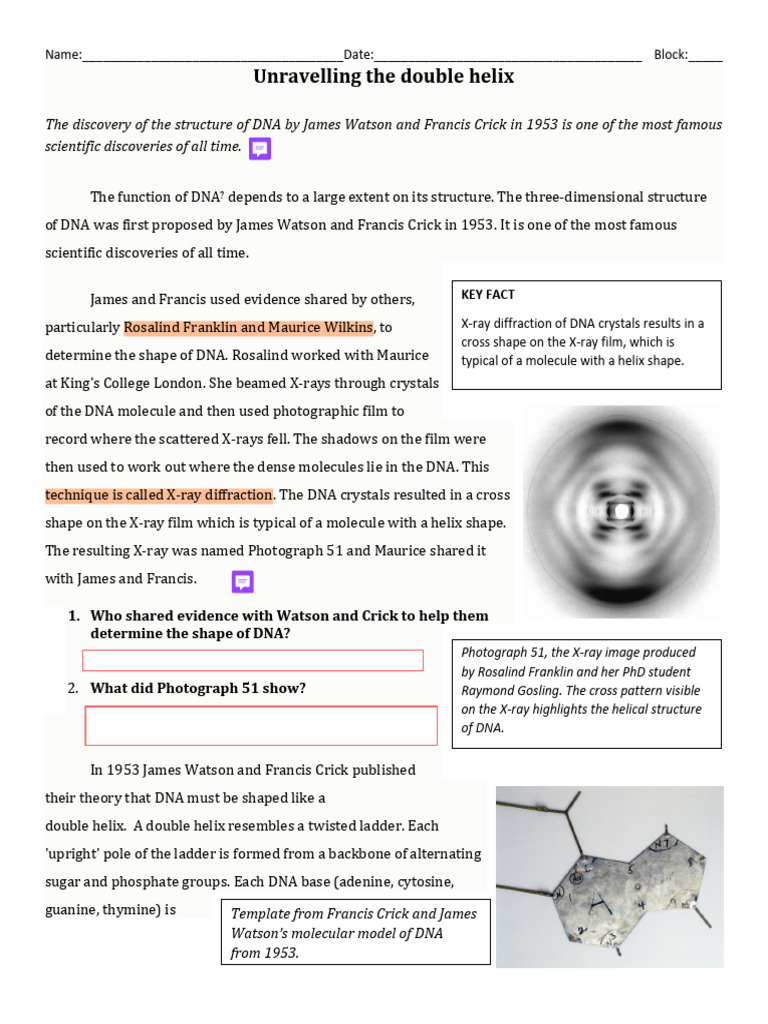 Unraveling The Double Helix Reading and Questions | PDF | Dna | Francis ...