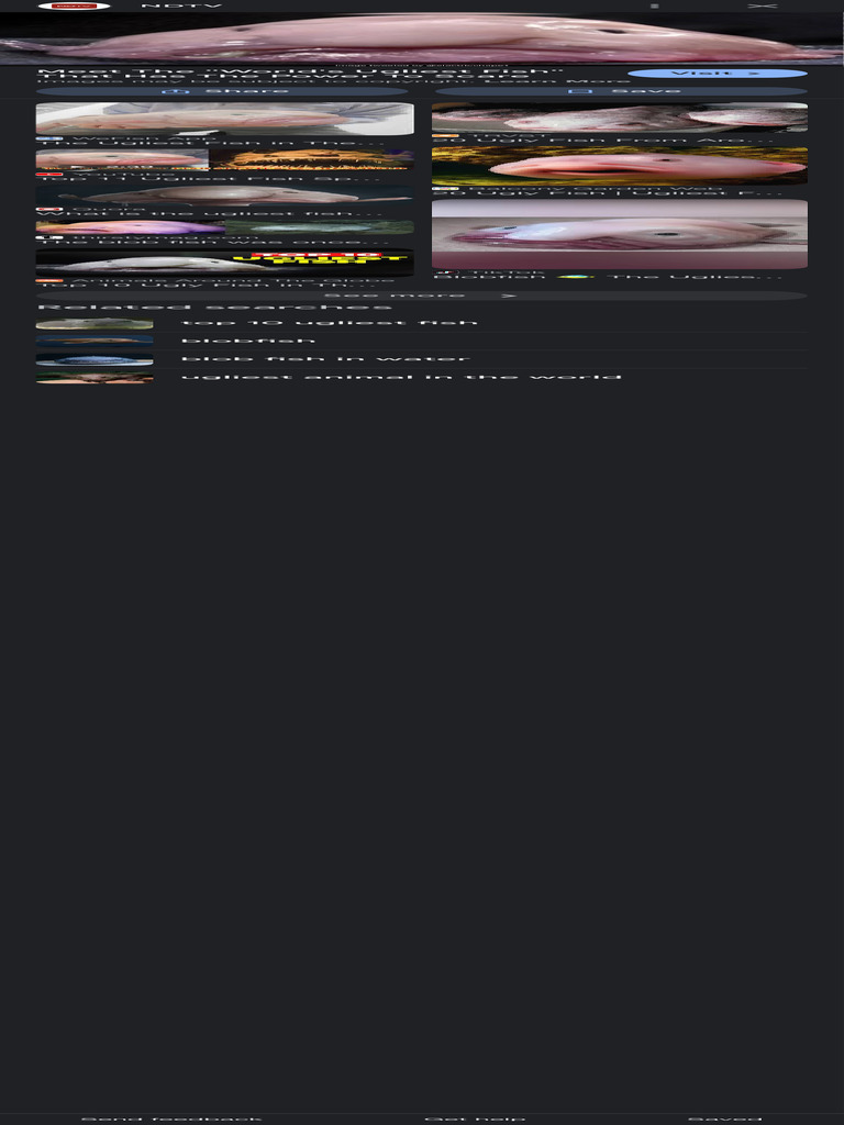 World's Ugliest Fish: Blobfish Facts | PDF