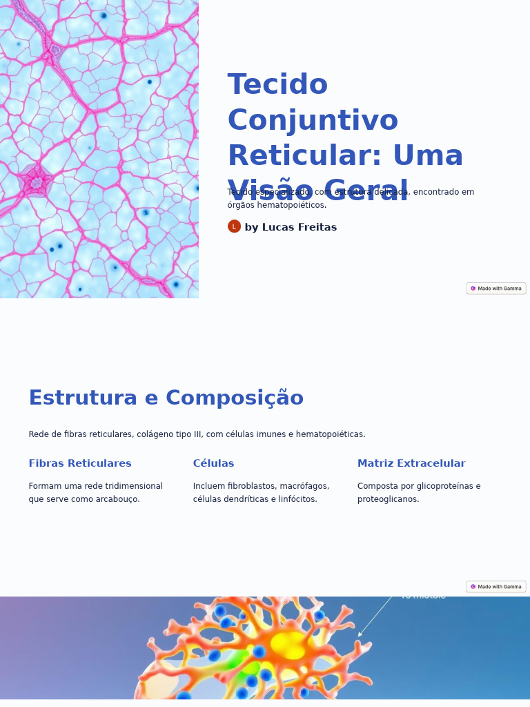 Tecido Conjuntivo Reticular: Funções e Estrutura | PDF | Sistema ...