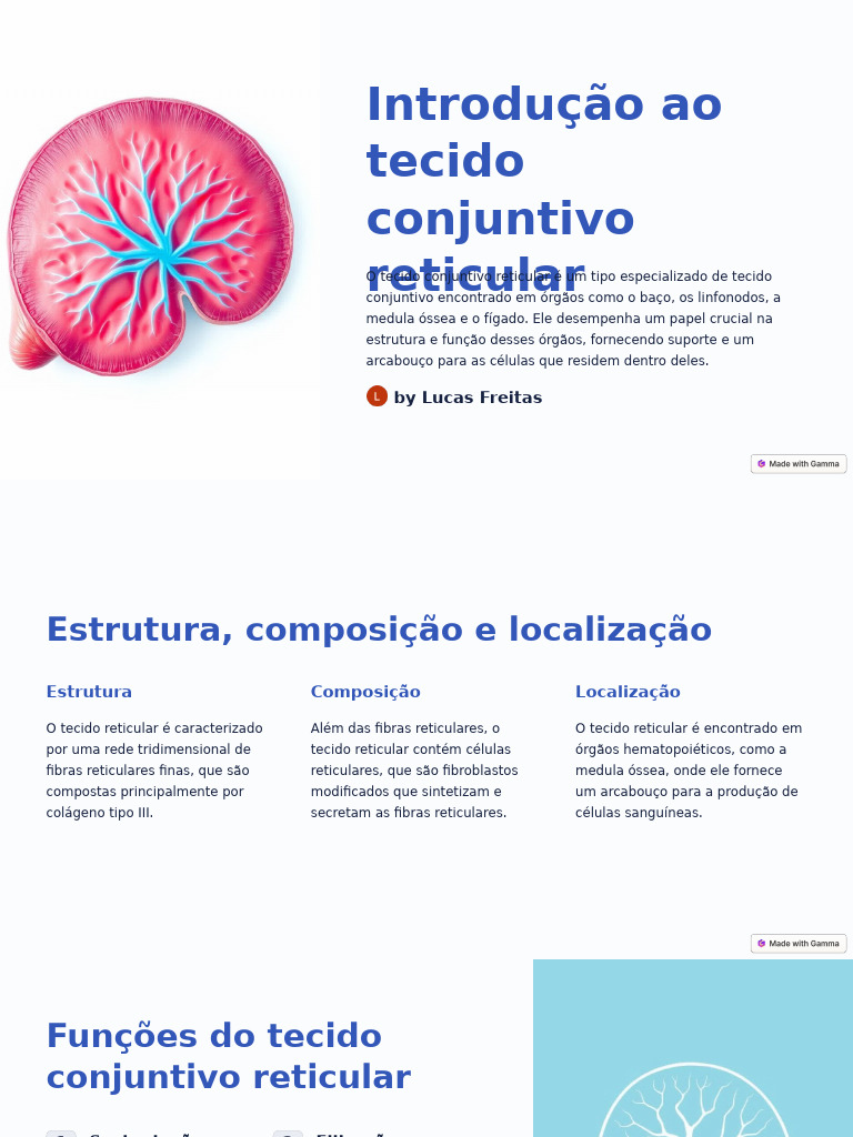 Introducao Ao Tecido Conjuntivo Reticular (1) | PDF | Hematopoiese ...