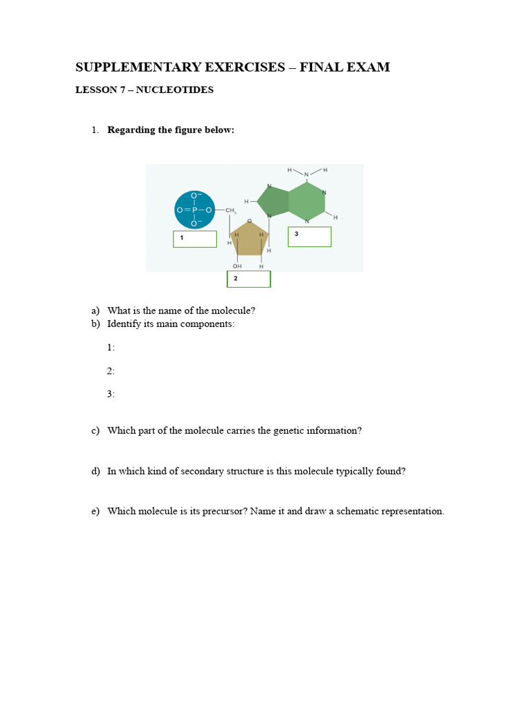 Supplementary Exercises - Final Exam: Lesson 7 - Nucleotides | PDF ...