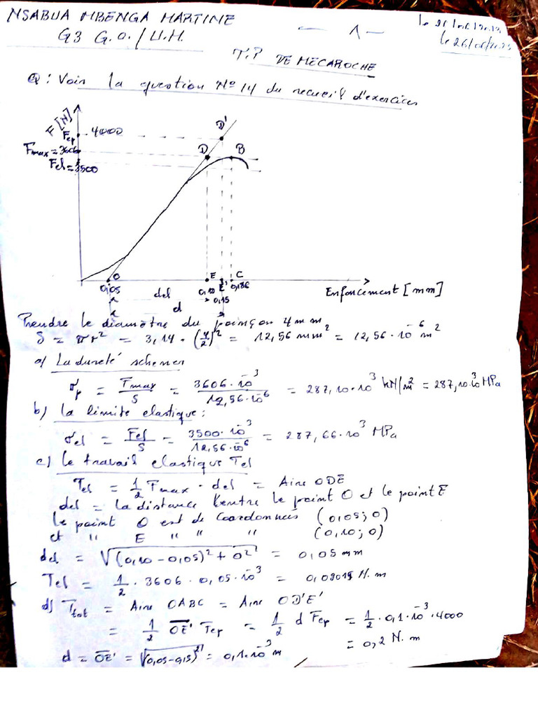 AltaScanner 07 06 2023 | PDF