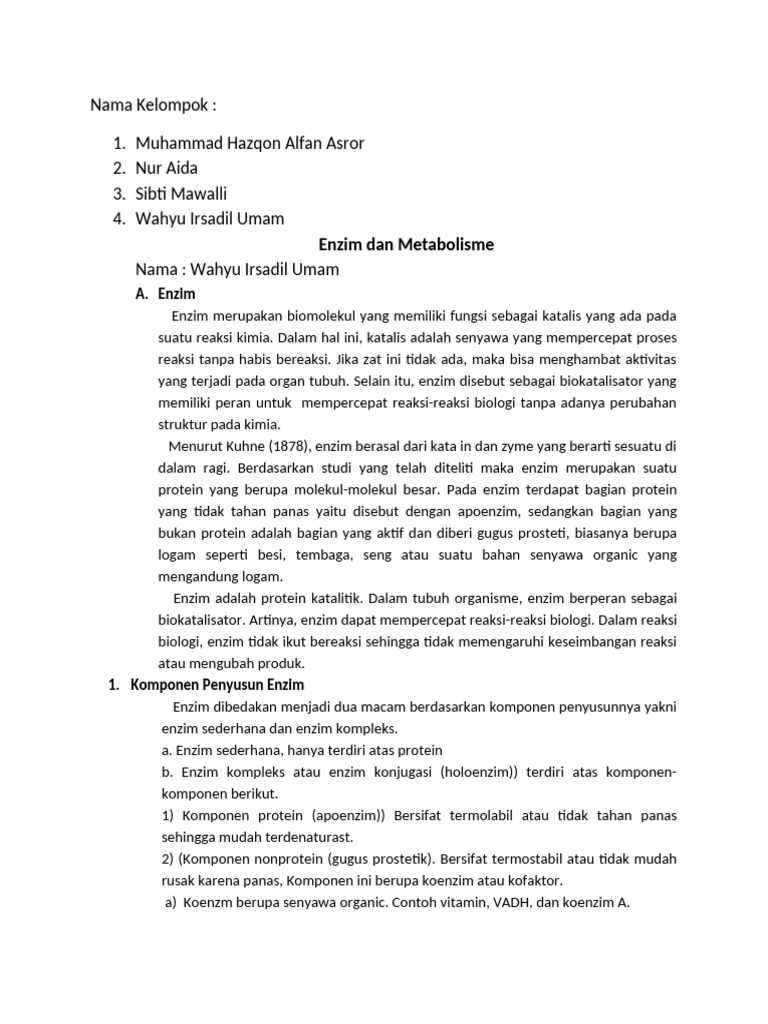 Enzim Dan Metabolisme | PDF