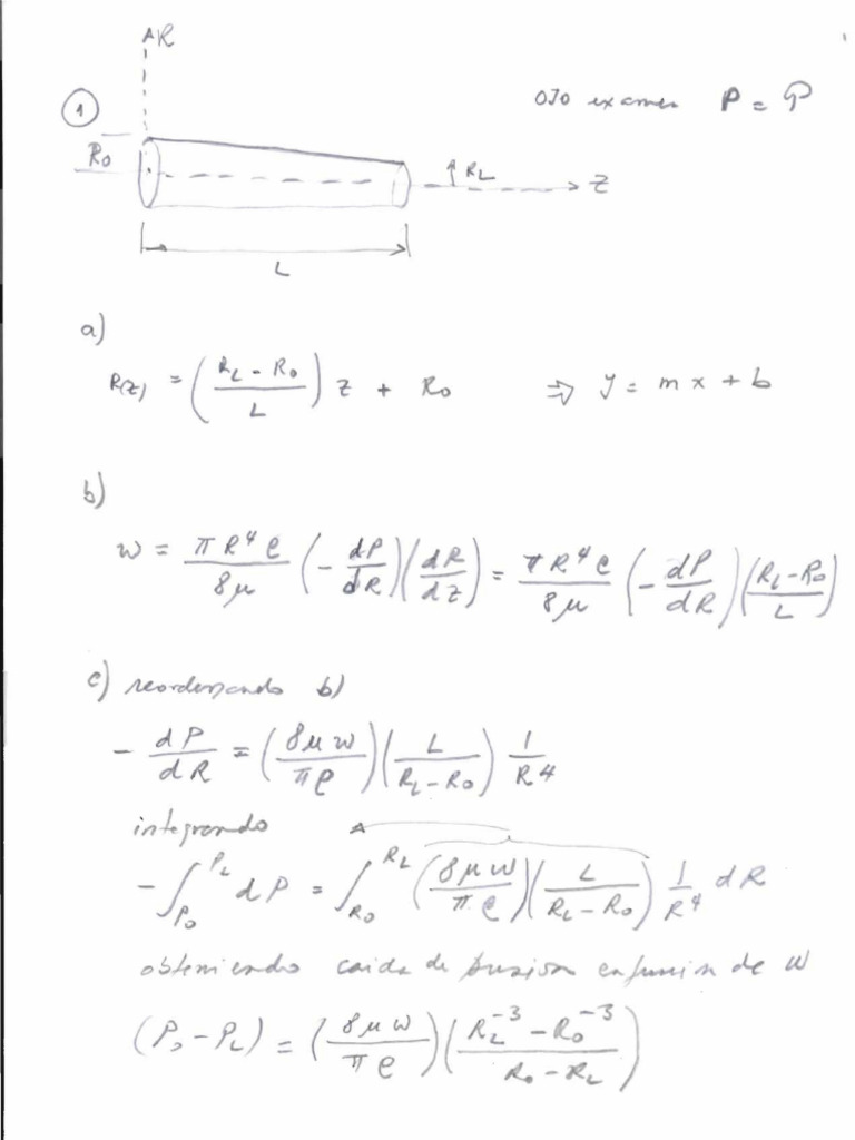 Feno A Final II 2019 | PDF