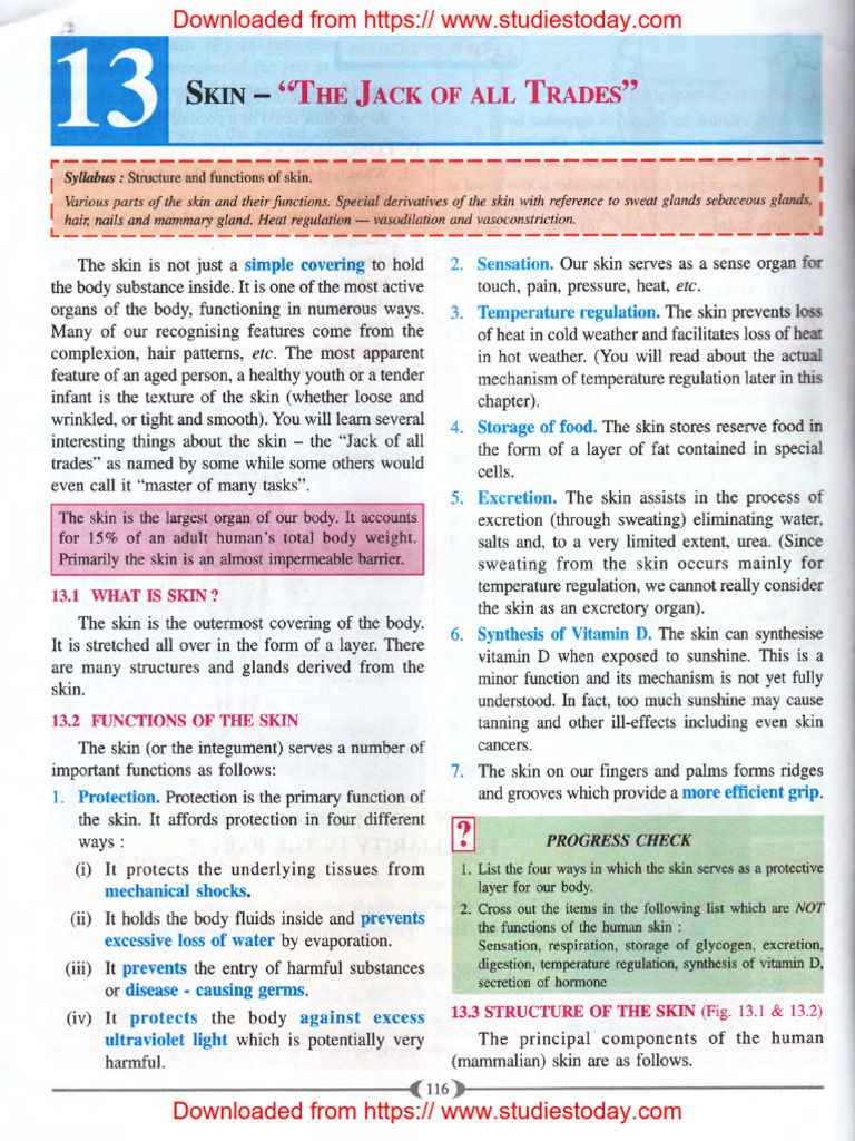 Class 9 ICSE Skin Overview | PDF