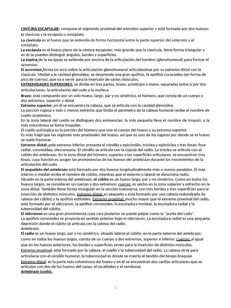 Anatomía de la Cintura Escapular y Extremidades | PDF | Mano | Articulación