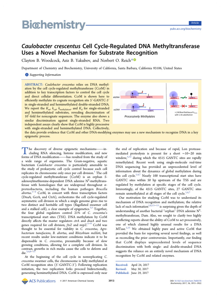Woodcock Et Al 2017 Caulobacter Crescentus Cell Cycle Regulated Dna Methyltransferase Uses A ...