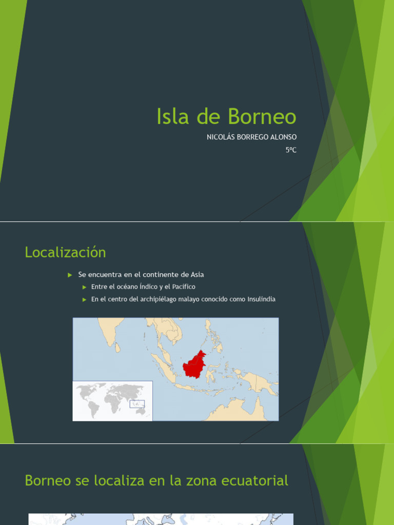 Isla de Borneo | PDF