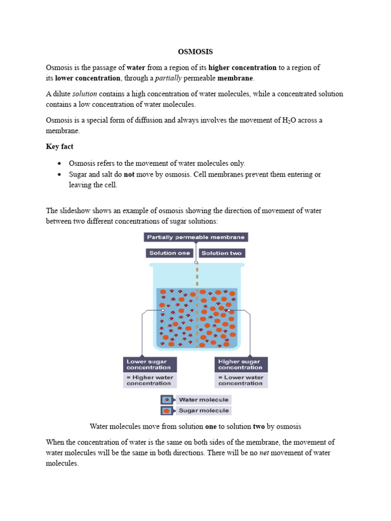 Osmosis | PDF | Osmosis | Cell (Biology)