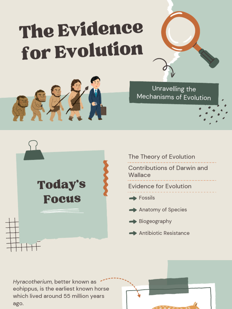 The Evidence For Evolution | PDF | Evolution | Methicillin Resistant ...