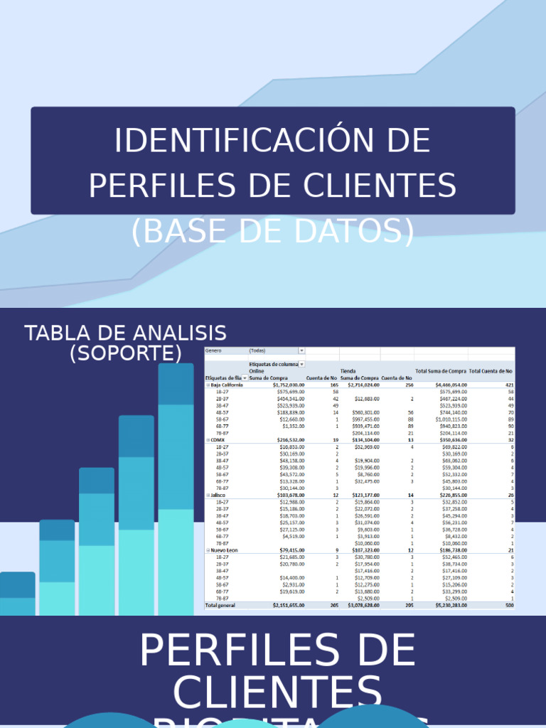 Identificación de Perfiles de Clientes (Base de Datos) | PDF