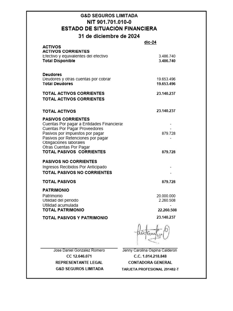 Estado de Situacion Financiera 2024 | PDF
