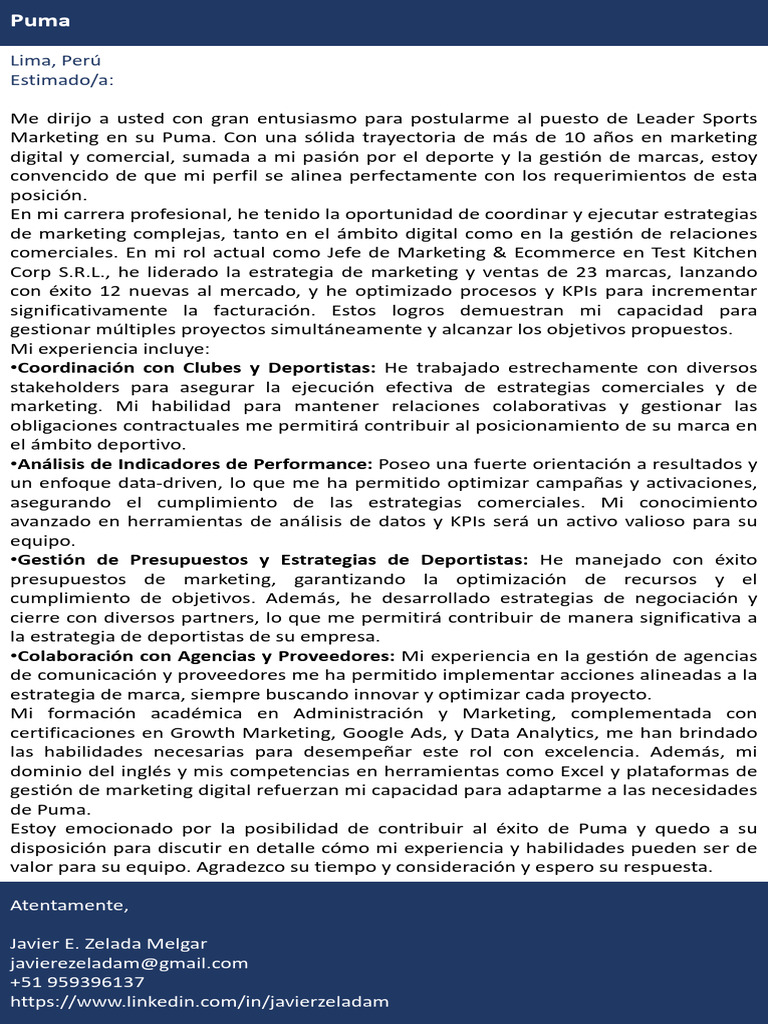 Carta de Presentación Puma Agosto 2024 | PDF | Marketing | Economias