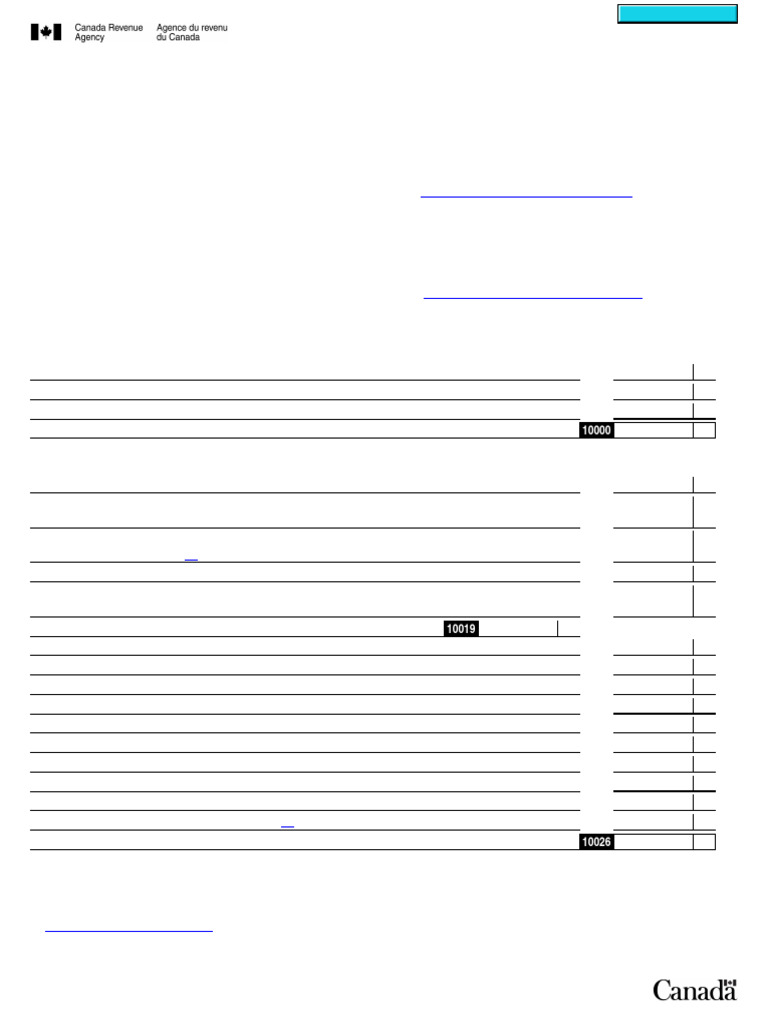 Tax Exempt Income Calculation Form | PDF | Economies | Taxes