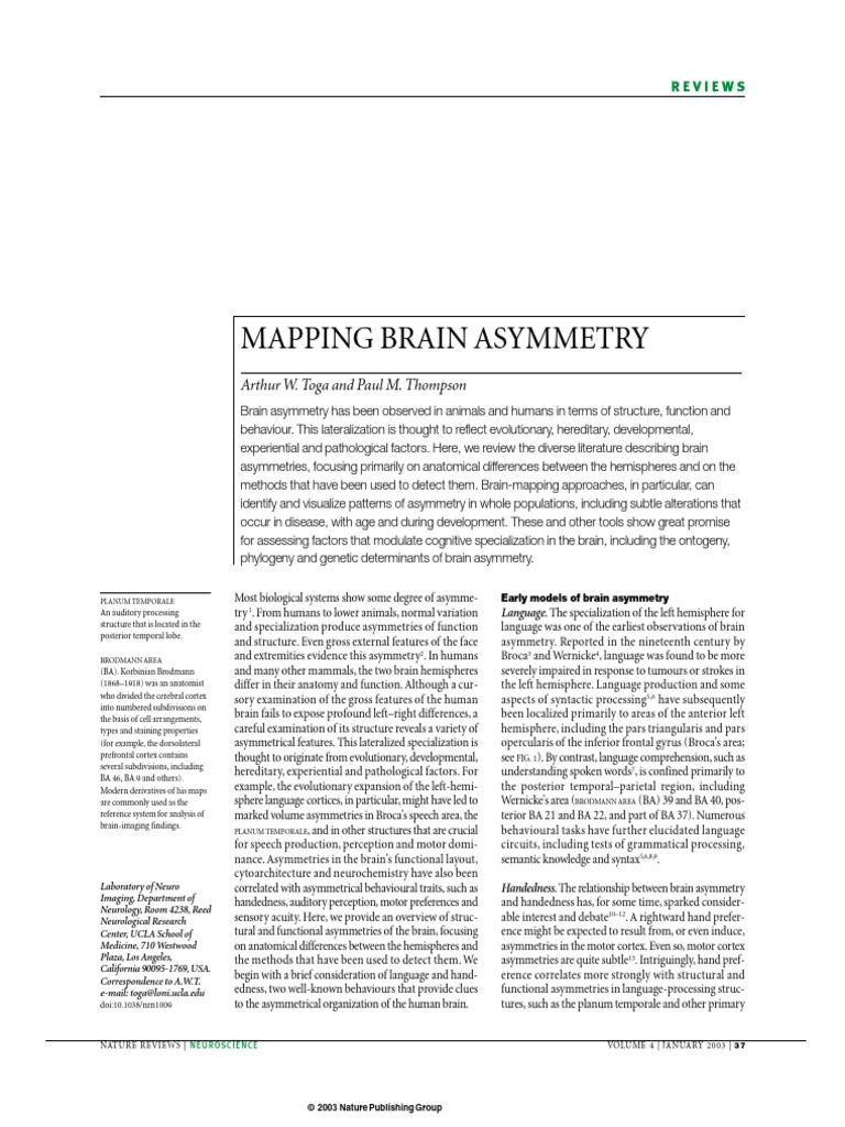 Toga 2003 Brain Asymmetry Language and Hand | PDF | Cerebral Hemisphere | Lateralization Of ...
