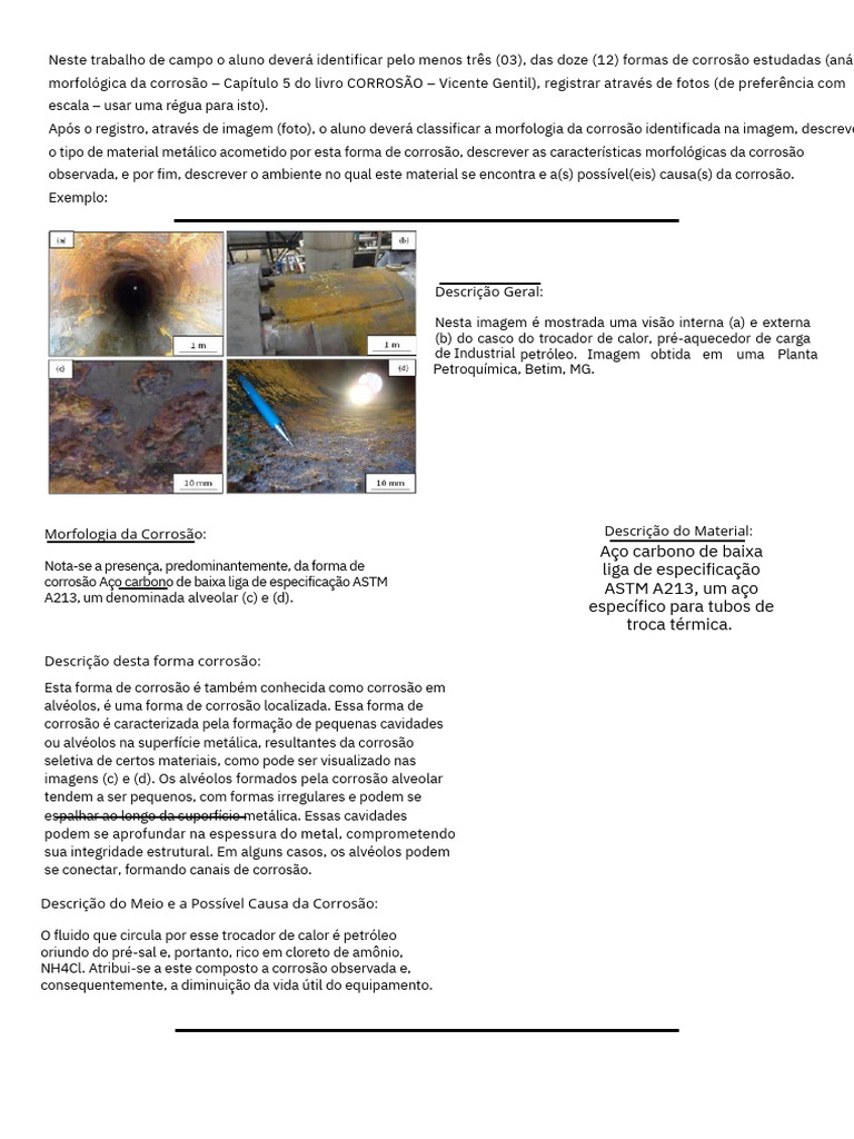 1738800928948+Atividade_de_Campo_AVALIATIVA__CPS_Eng_Met_Morfologia_da_Corroso (1).pdf | PDF ...
