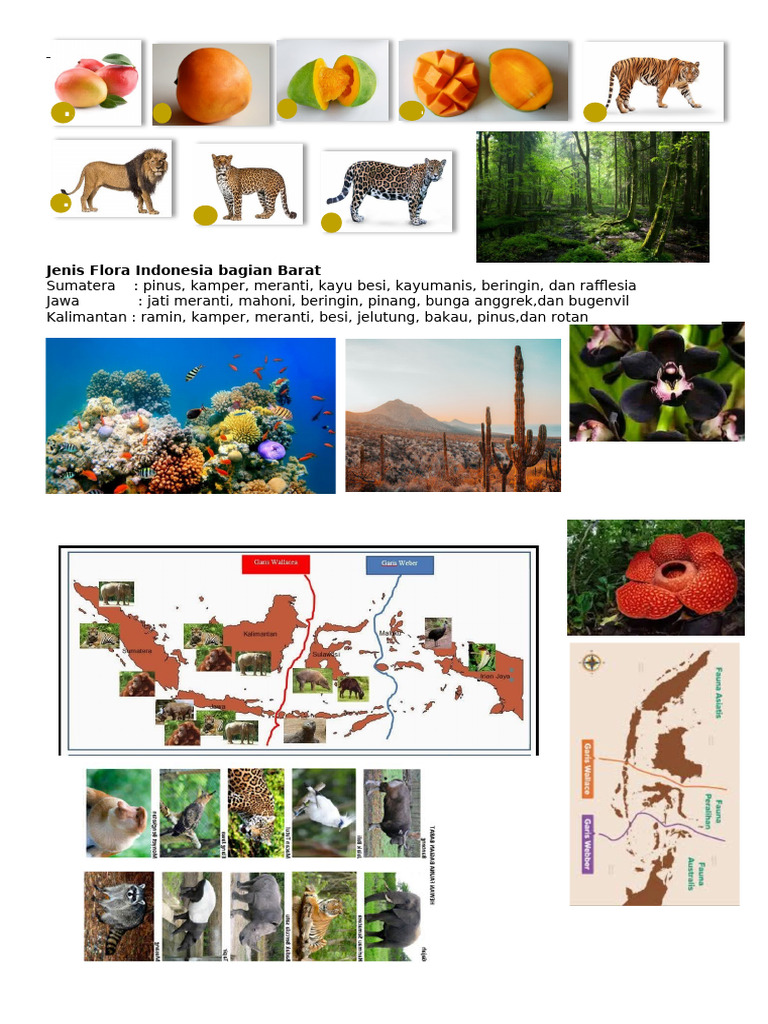 2025_PRINT GAMBAR BAB 1. KEANEKARAGAMAN HAYATI | PDF