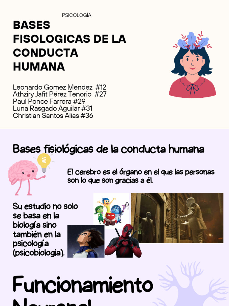 Bases Fisiologicas de La Conducta Humana | PDF | Cerebro | Sistema nervioso