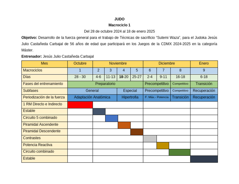 Plan de Entrenamiento Judo 2024-2025 | PDF