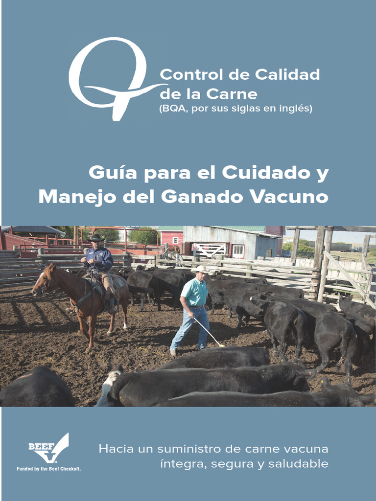 Bqa Cattle Care Handling Guidelines Espanol | PDF | Alimentos | Calibre