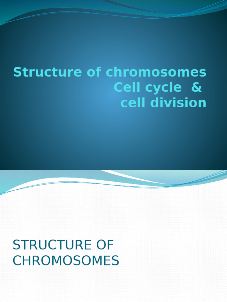 Chromosome Structure and Cell Division | PDF | Mitosis | Meiosis