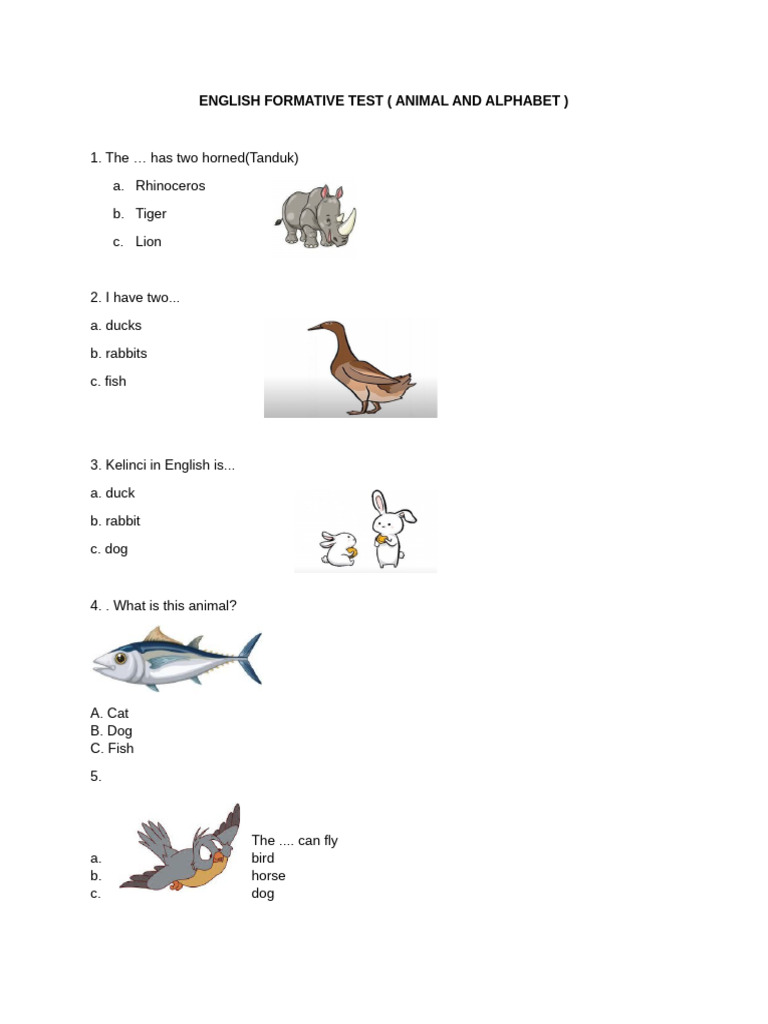 English Formative (Animal N Alphabet) | PDF | Zoology | Biology