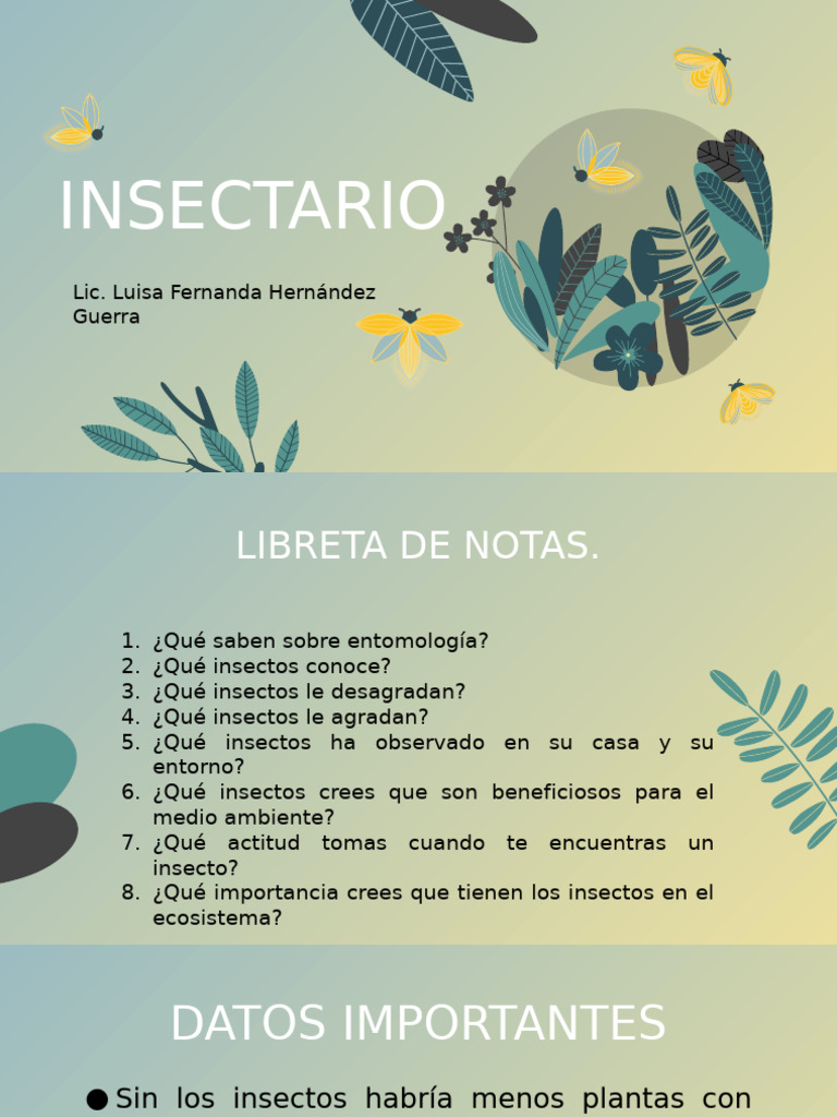 INSECTARIOS | PDF | Insectos | Ecosistema