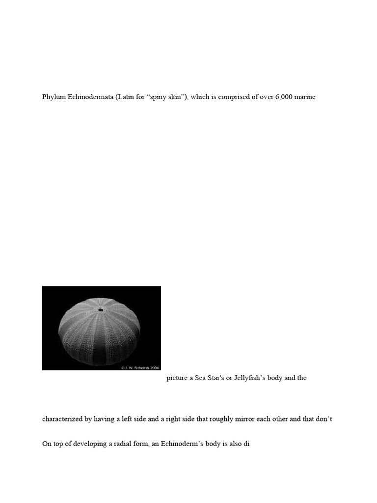 An Introduction To The Echinoderms | PDF | Zoology