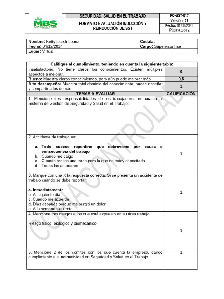 Fo-Sst-018 Formato Evaluacion de Induccion y Reinduccion | PDF