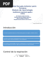 Estudio de La Relacion Safi y Pafi Iess 2020 | PDF | Respiración ...