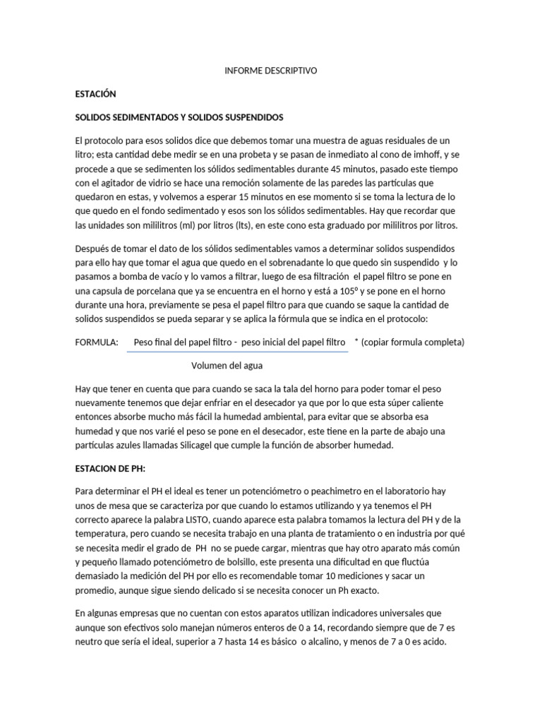 Informe Descriptivo | PDF | Ph | Valoración