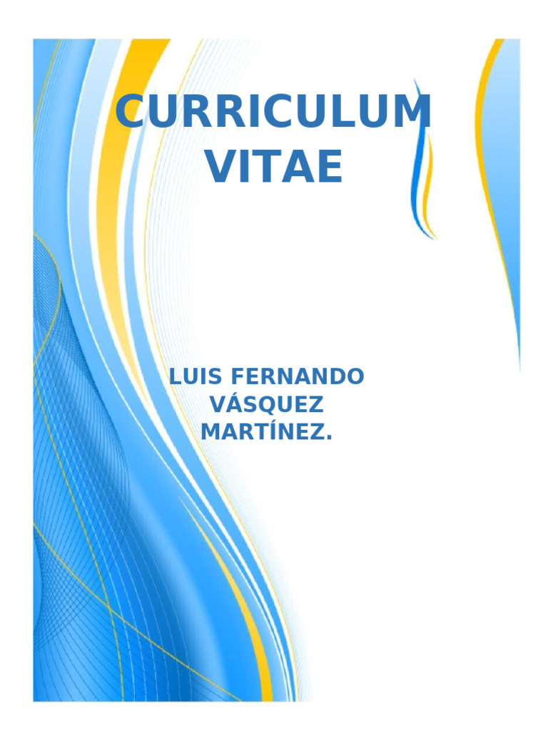 CURRICULUM VITAE Luis | PDF