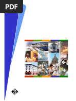 Philippine Standard Geographic Code Overview | PDF