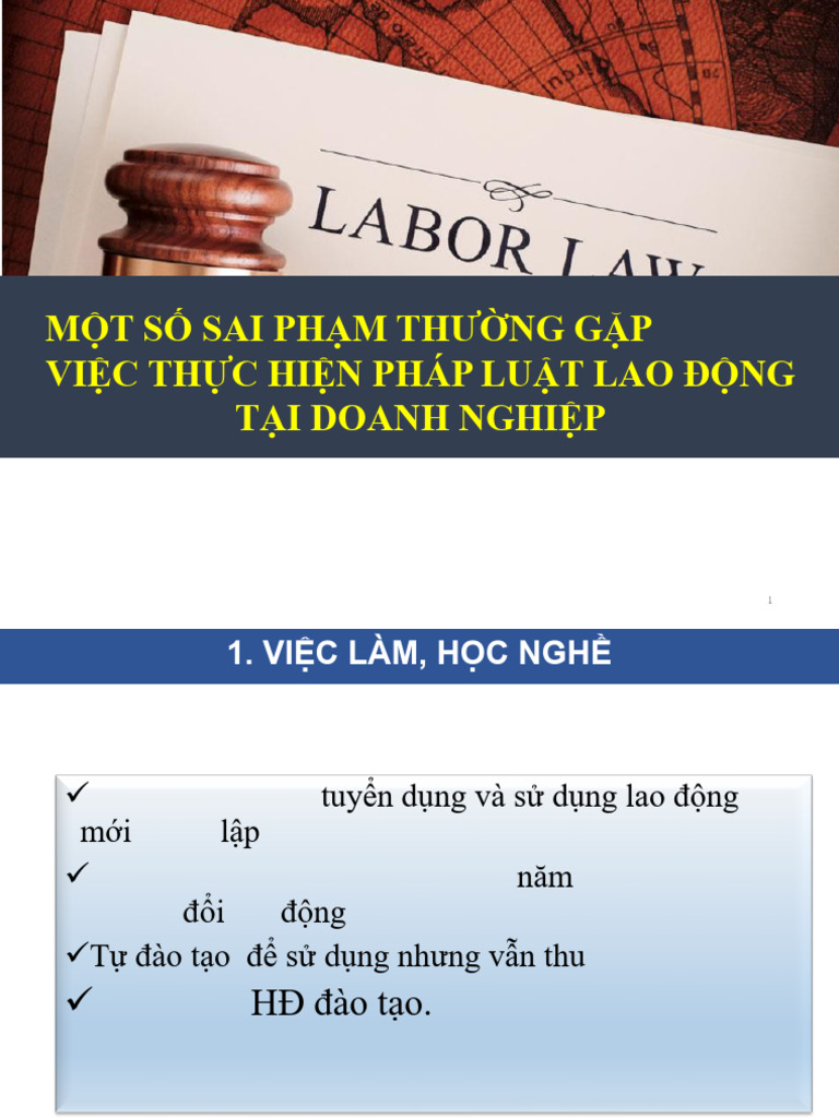 3 Sai Pham Trong Thuc Hien PLLD | PDF