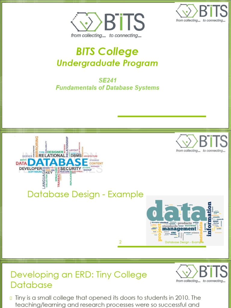 examples2-ERD Assignment | PDF | Computer Data | Information Technology