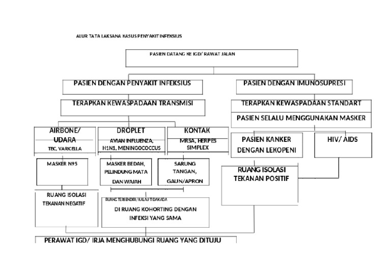Alur Pasien Isolasi | PDF