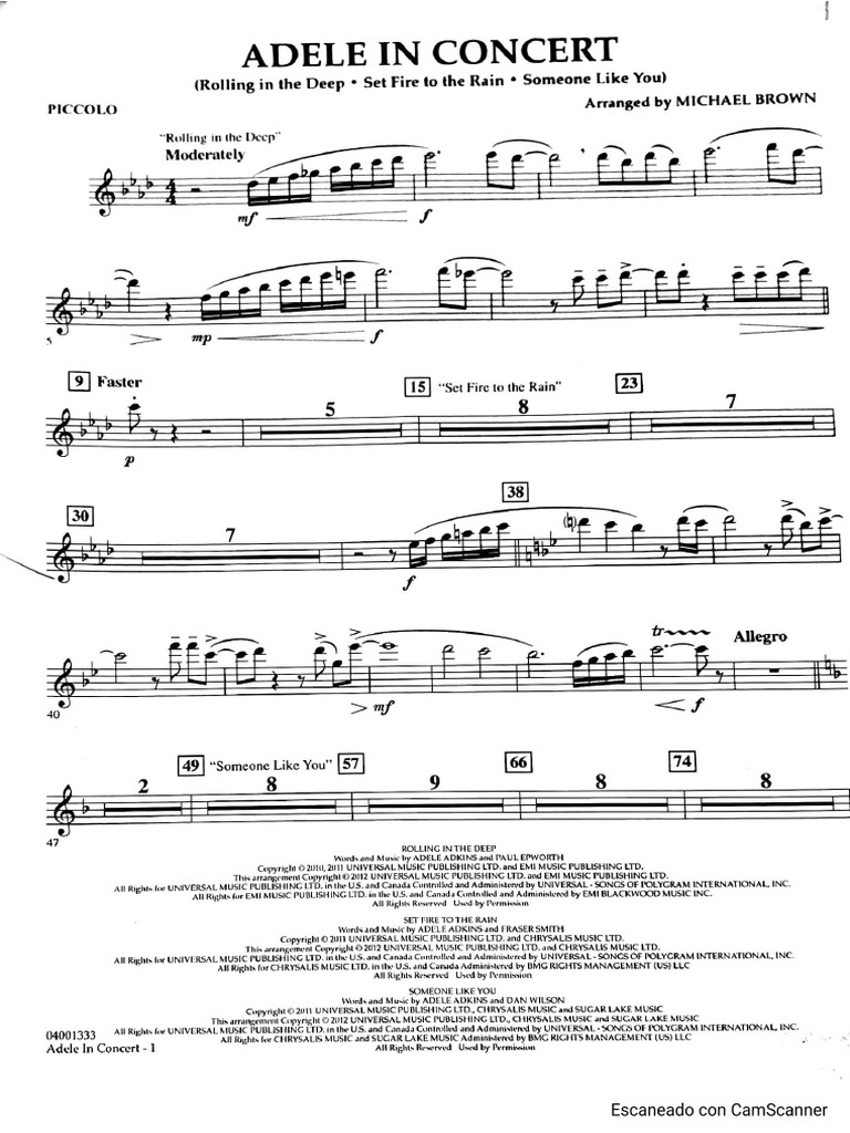 Adele in Concert | PDF