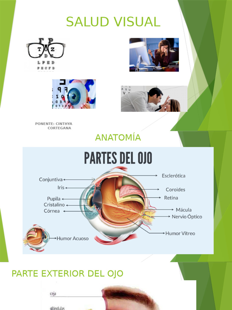 Agudeza Visual | PDF | Percepción visual | Ojo