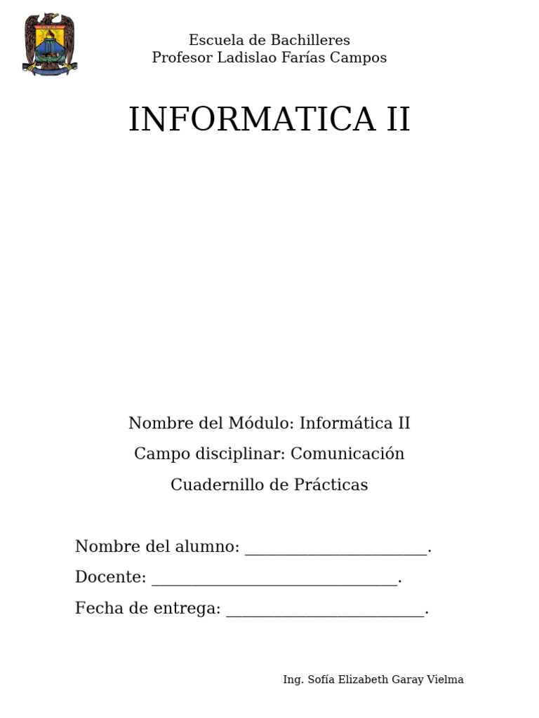 Cuadernillo de Practicas Informática | PDF | Microsoft Excel | Software