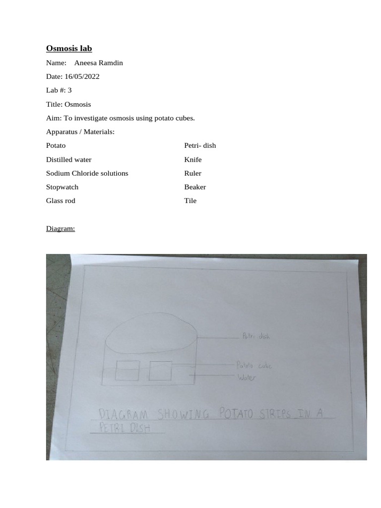 Osmosis Lab Aneesa Ramdin | PDF | Osmosis | Experiment