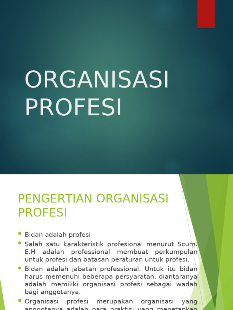 ORGANISASI PROFESI | PDF