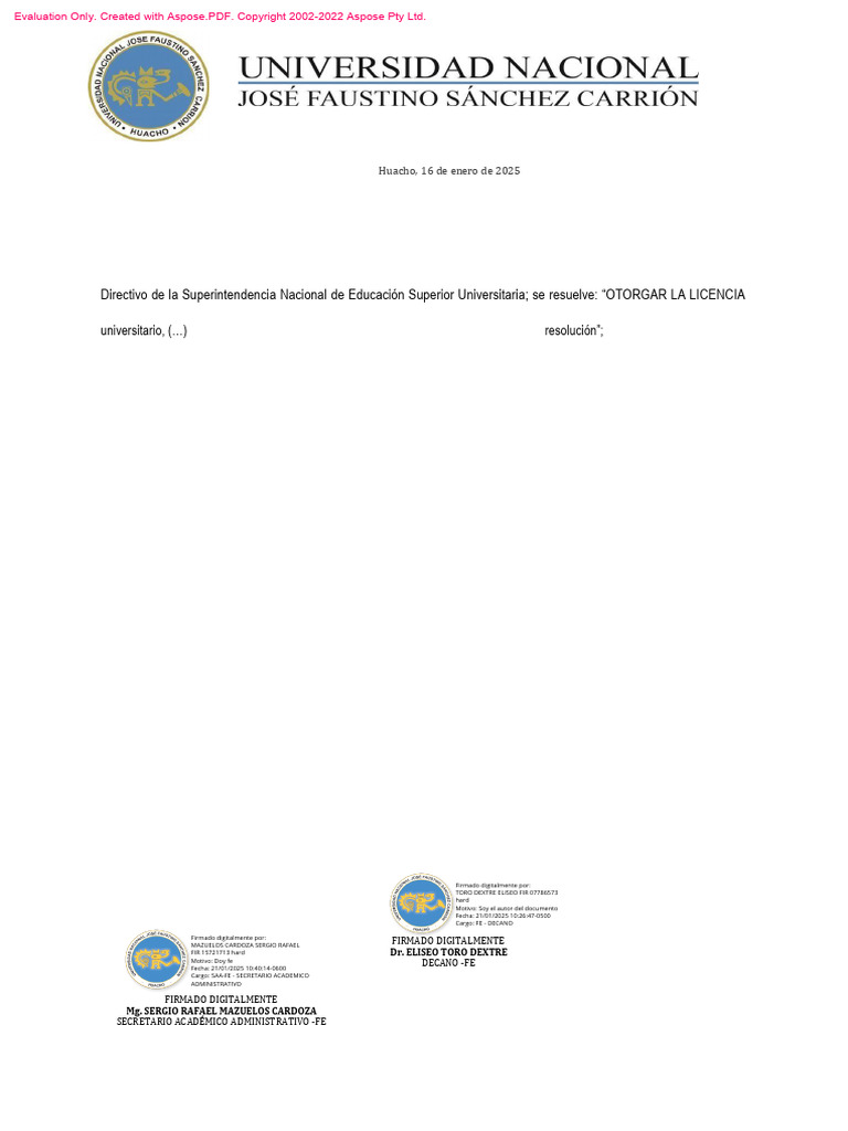 RD N°0109-2025-Fe-Primeros Puestos Semestre 2024-Ii | PDF