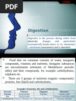 The Digestive System - Enzymes and Digestion (CCEA) - GCSE Biology ...