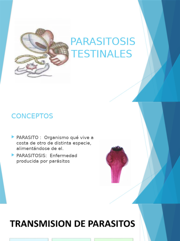 PARASITOSIS INTESTINALES | PDF | Parasitología | Enfermedades y trastornos