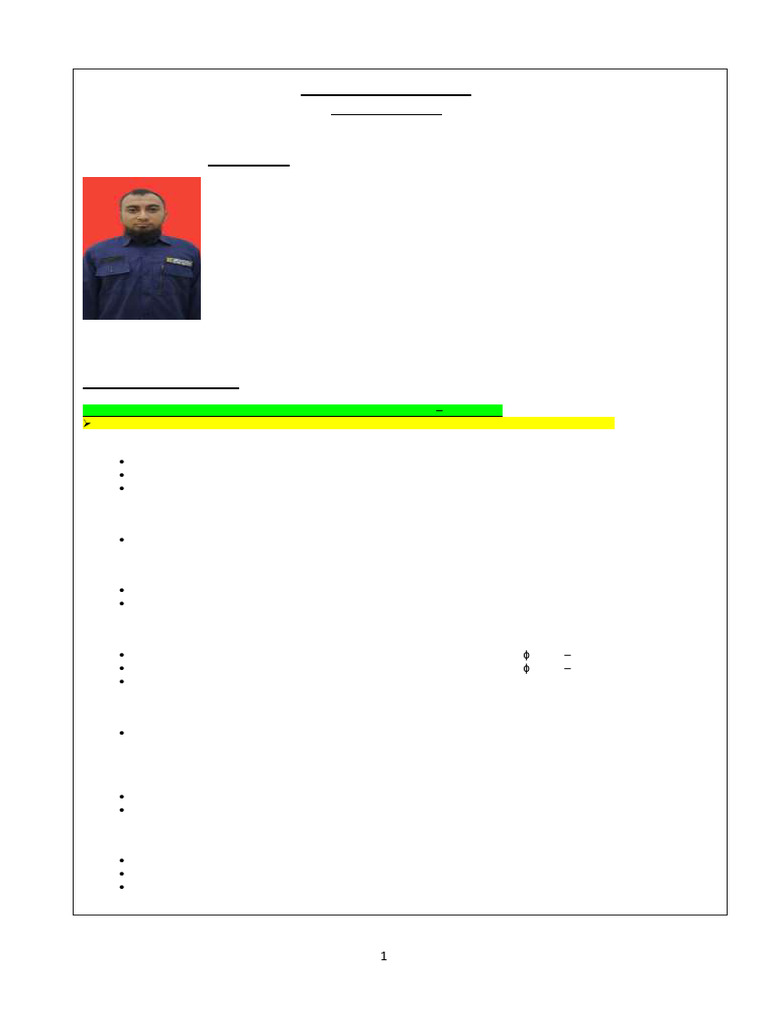 Contoh CV 2 | PDF