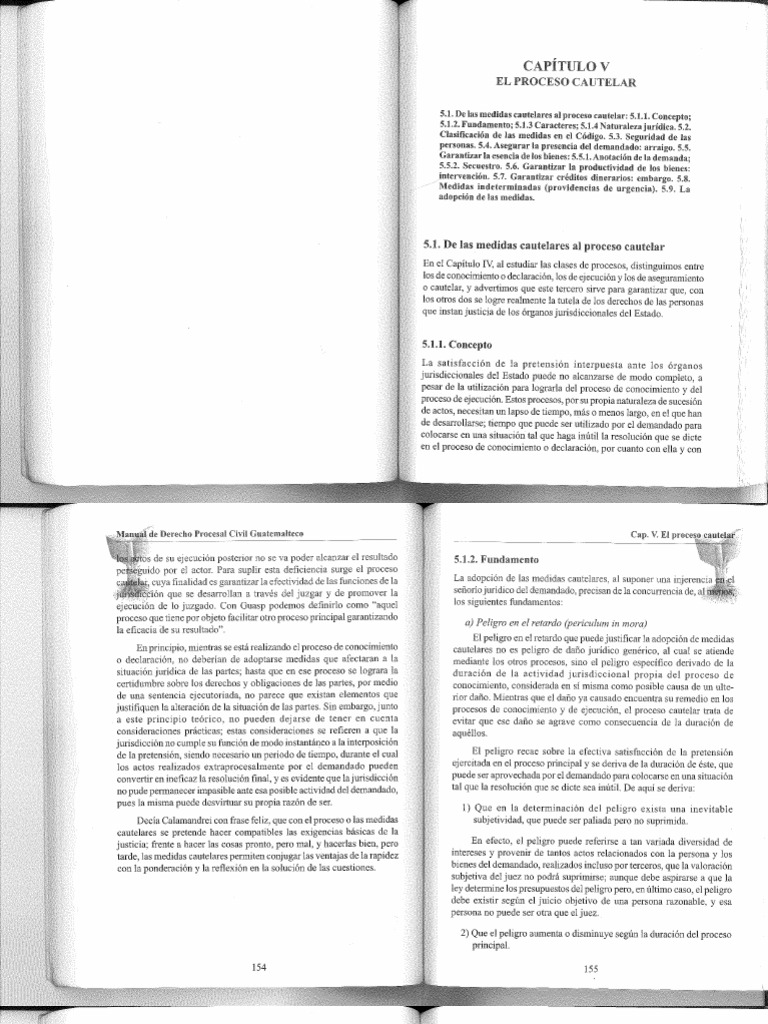 Mauro ChacÃ N - Medidas Precautorias | PDF